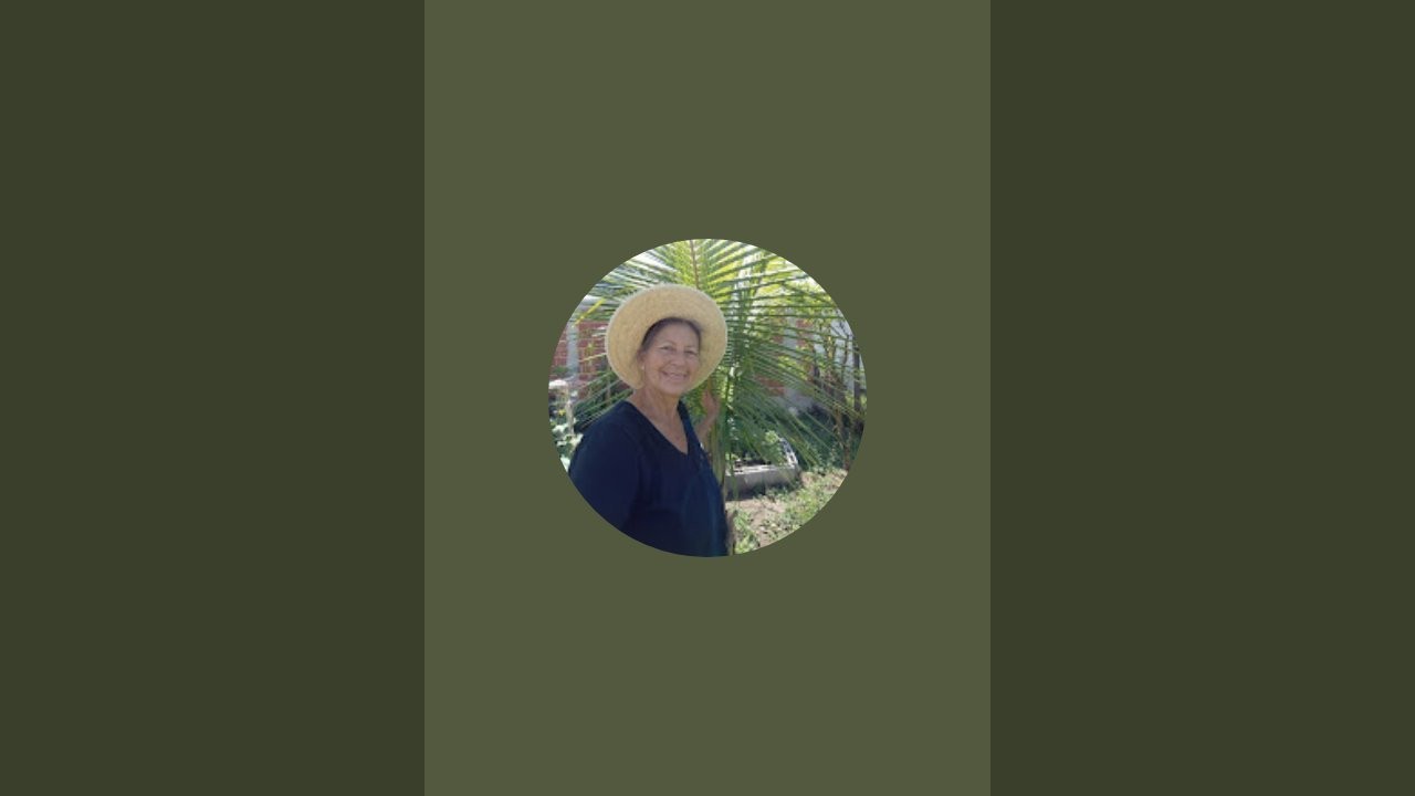 Nane Alves : Cuidando das Plantas. - YouTube