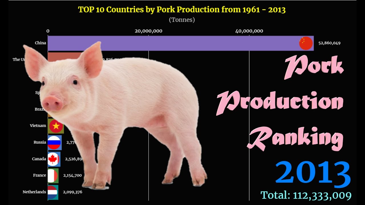 Pork Production Ranking | TOP 10 Country from 1961 to 2013 - YouTube