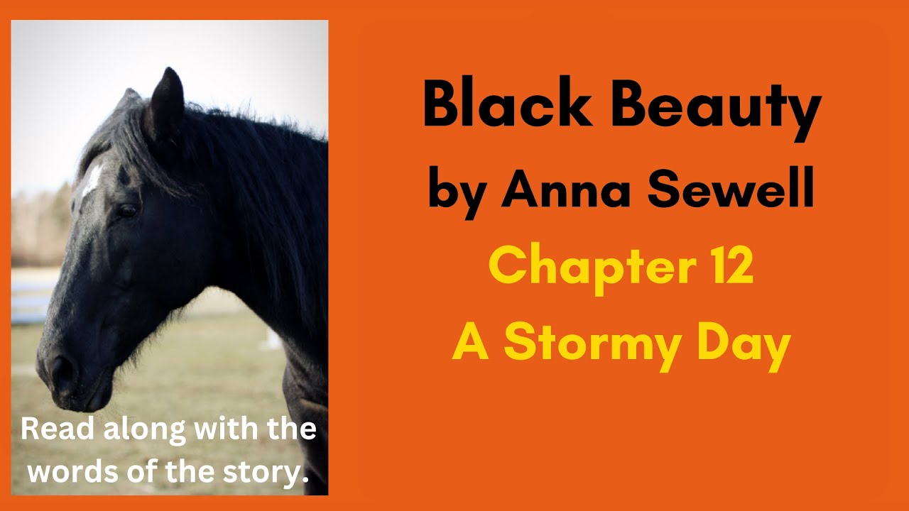 Black Beauty by Anna Sewell / Chapter 12 A Stormy Day - YouTube