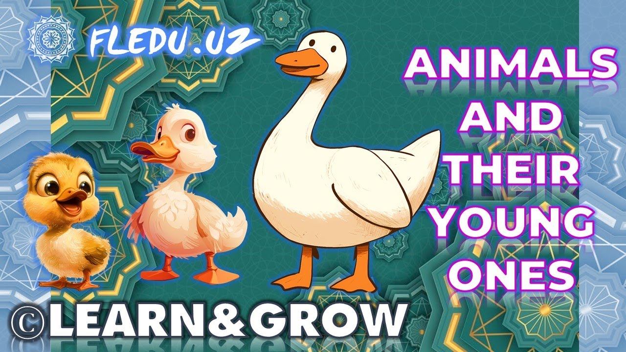 Names of Animals and Their Young Ones. Hayvon va hayvon bolalari ...