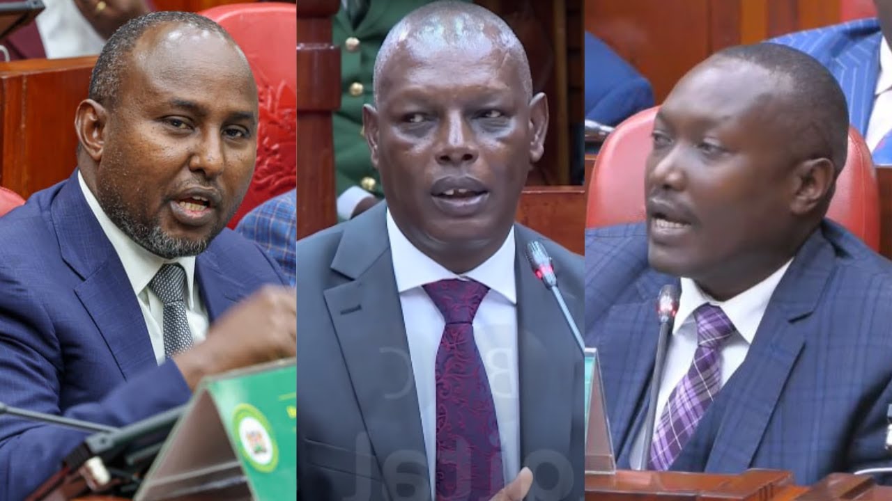 'Those are Stories,'Junet & Mbui Tackle Karanja on Edible Oil & the ...