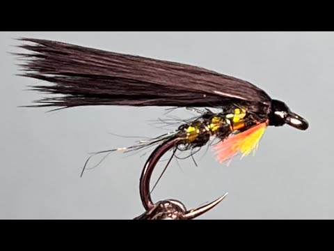 Yellow chief cormorant - YouTube