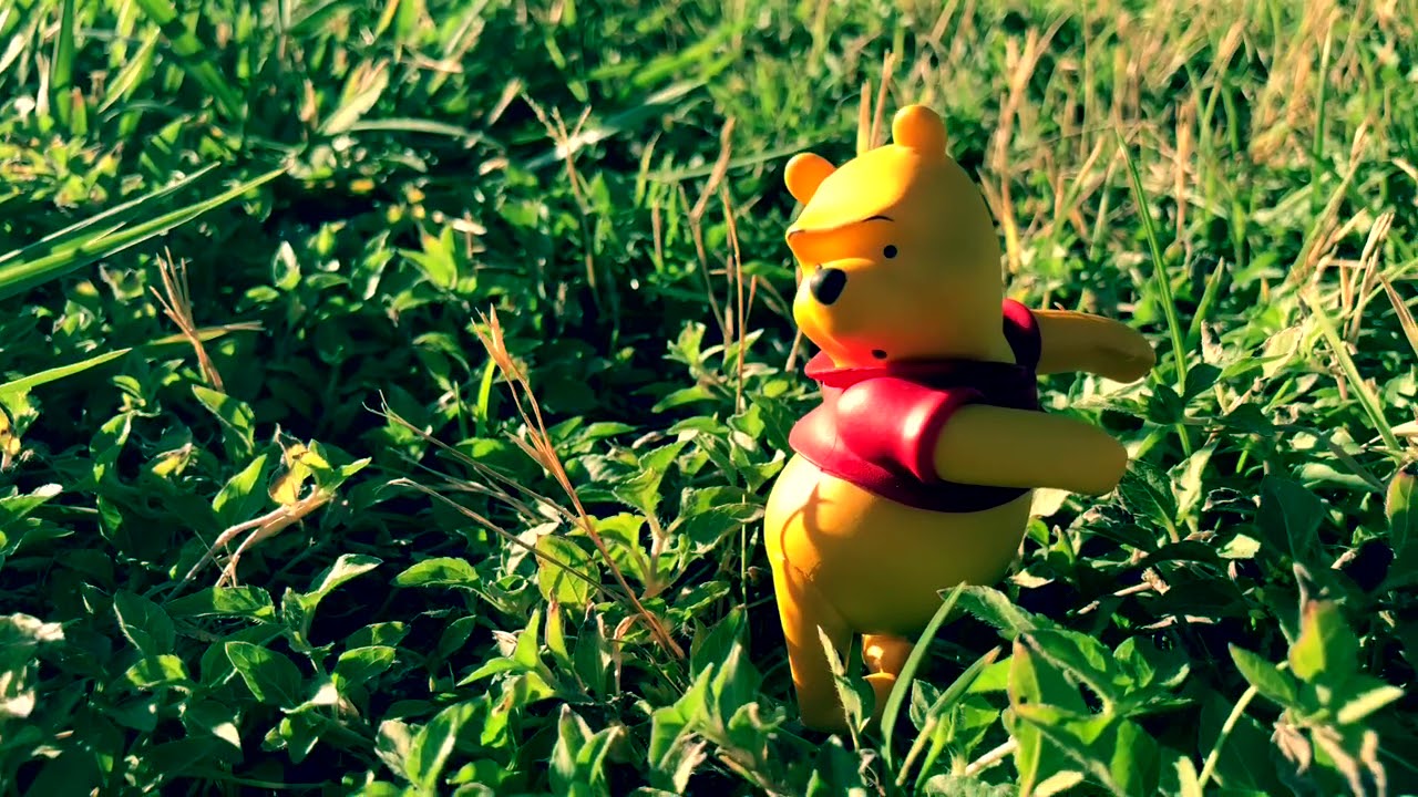 Winnie The Penny - YouTube
