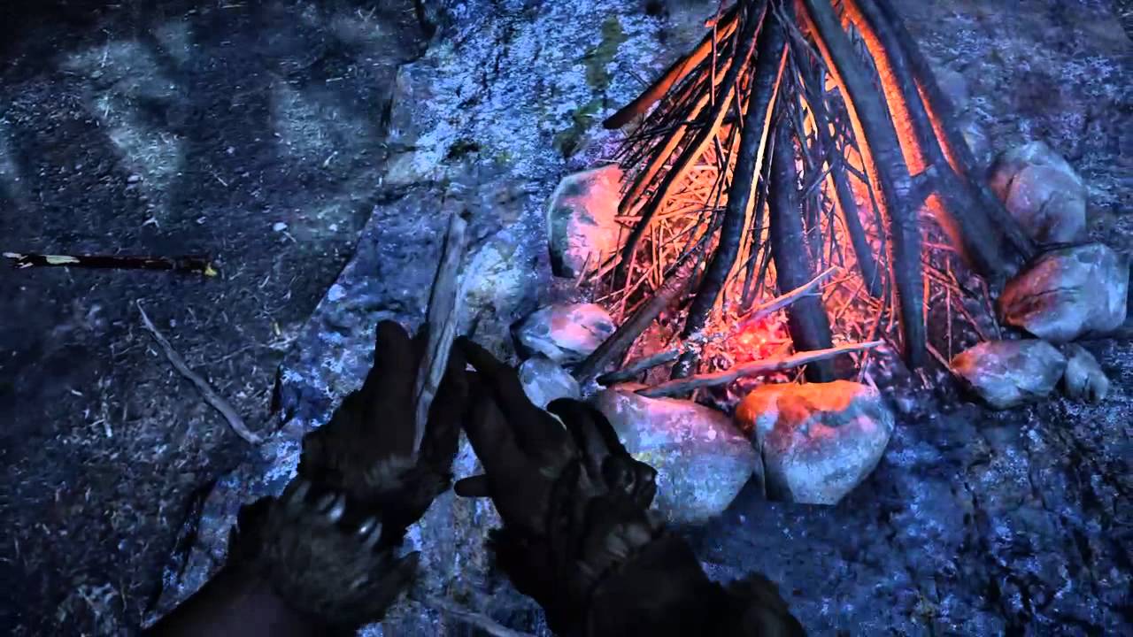 Jeff corwin experience - YouTube