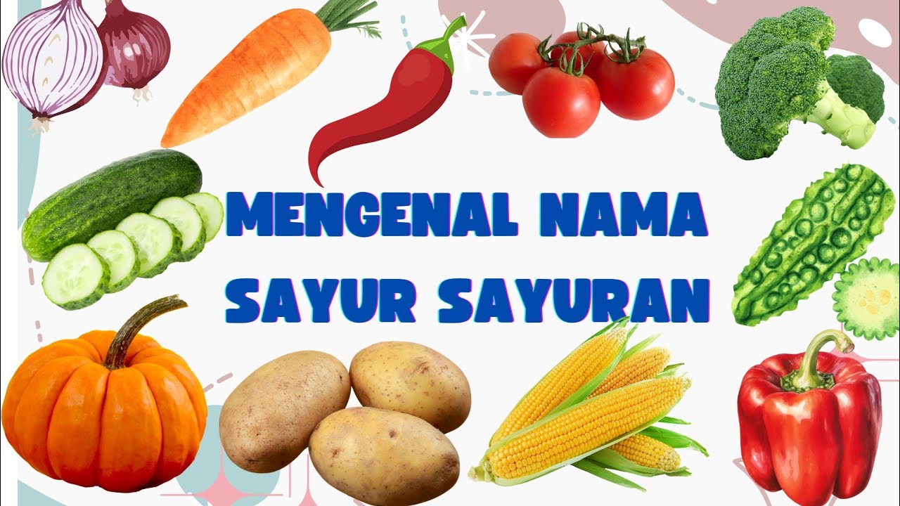 MENGENAL NAMA NAMA SAYUR SAYURAN - YouTube