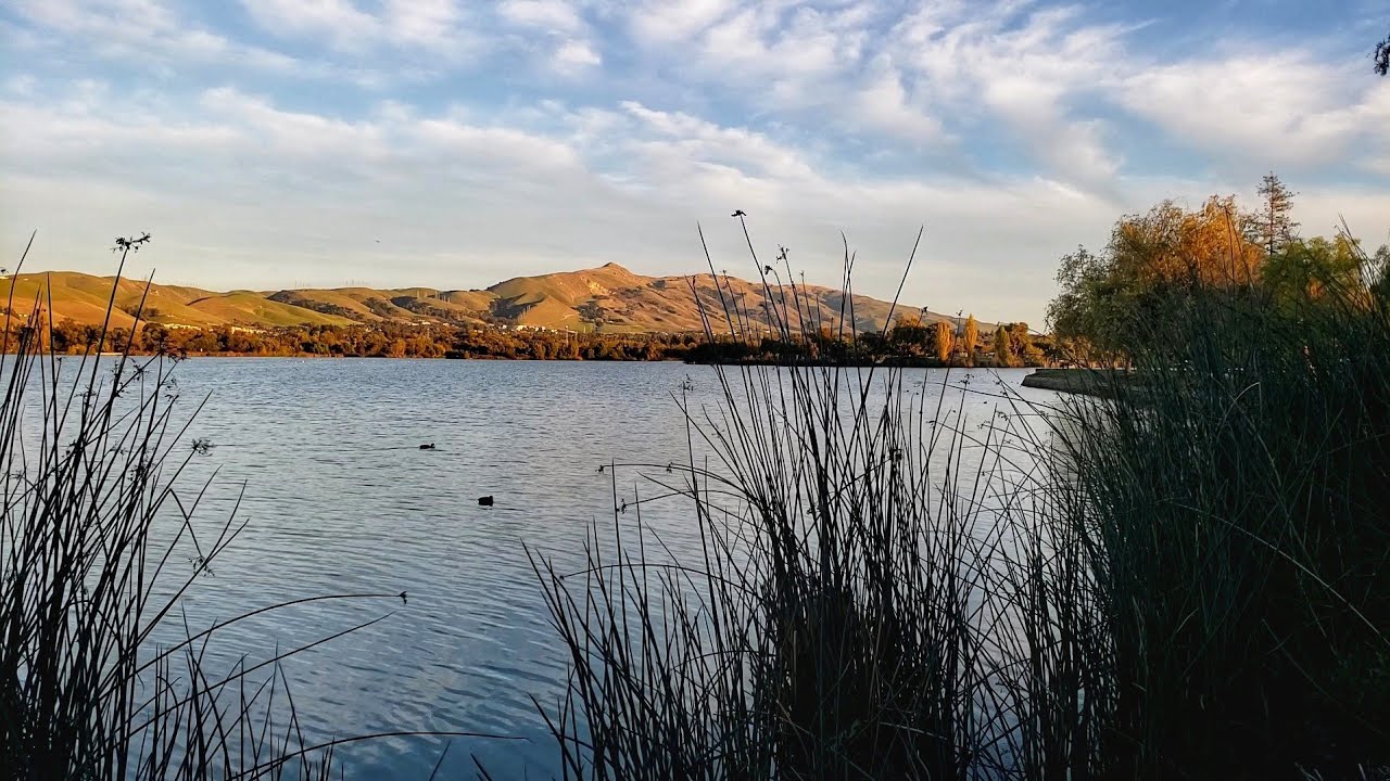 One Hour Stillness With Nature | Mindful Break At Lake Elizabeth ...