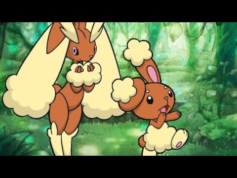Follow the Lucky Rabbit: Buneary & Lopunny - YouTube