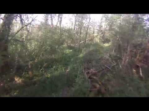 petit desente tranquile