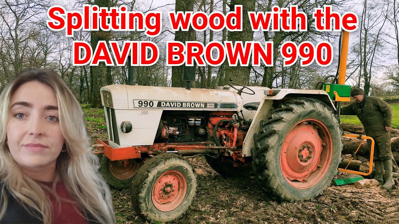 THE DAVID BROWN 990 IS PUT TO WORK SPLITTING TIMBER + Moving Cattle with the TL90 | Farming Life ...
