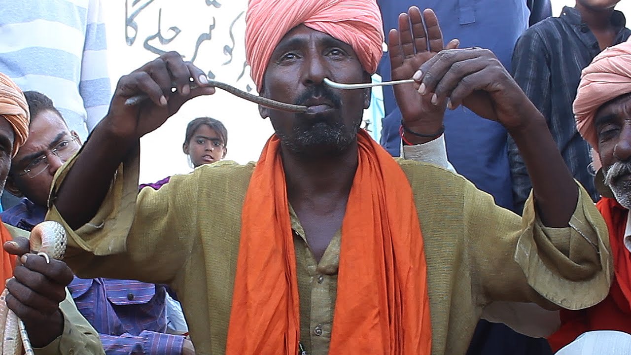 Man Puts Two-Foot Snake Through Nose - YouTube