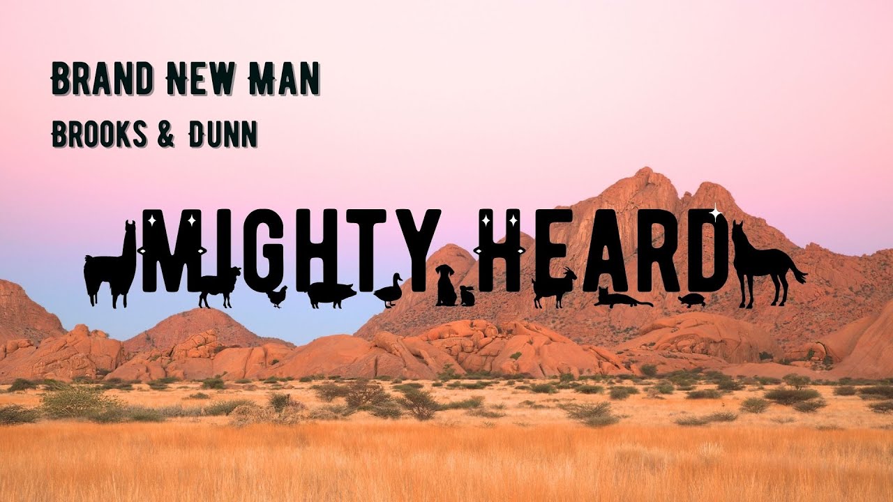 Brooks & Dunn - Brand New Man - YouTube