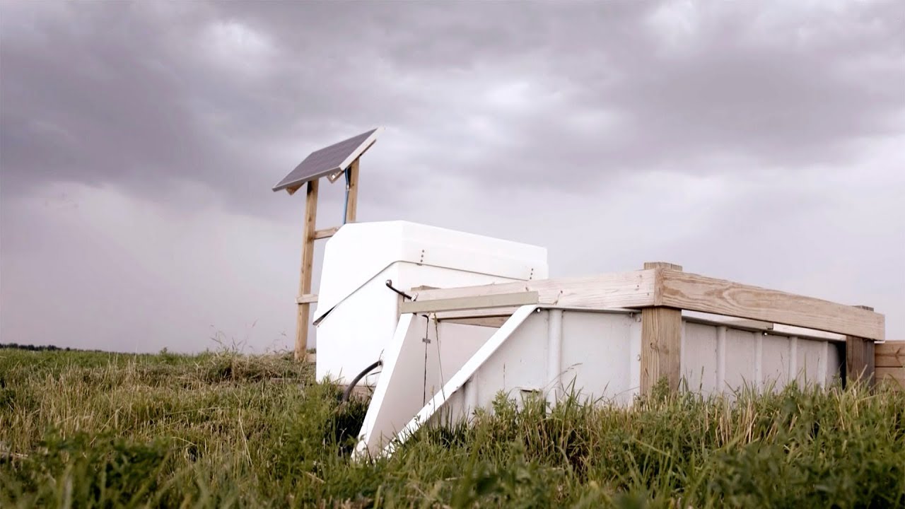 3. Edge-of-Field Monitoring - YouTube