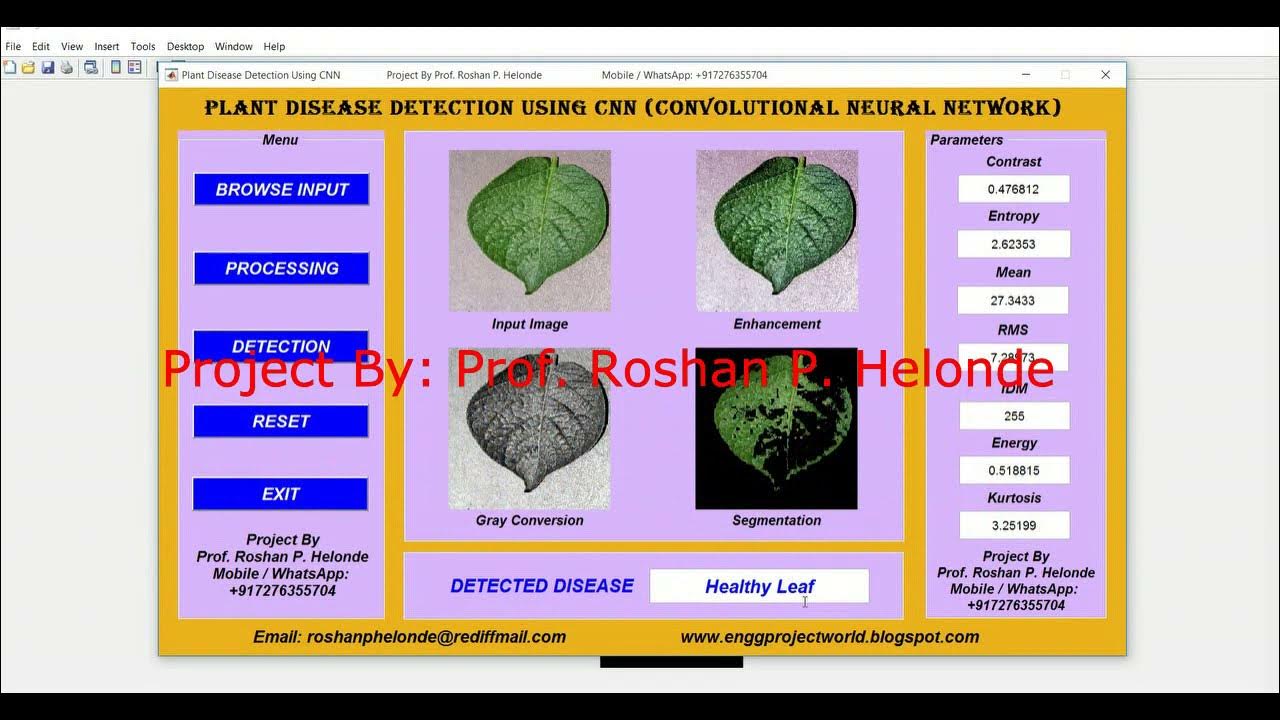 Plant Disease Detection Using CNN | With Source Code | Matlab Project ...