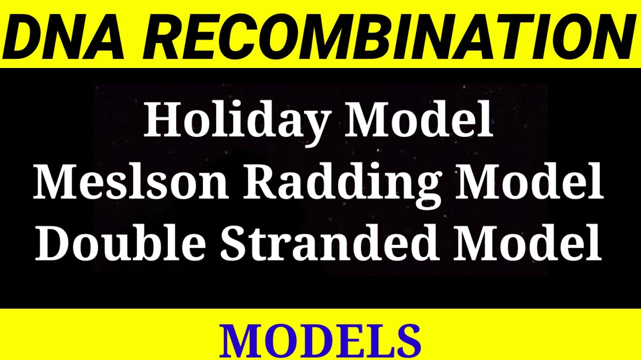 DNA RECOMBINATION OF DNA RECOMBINATION ||Holiday model|double strand ...