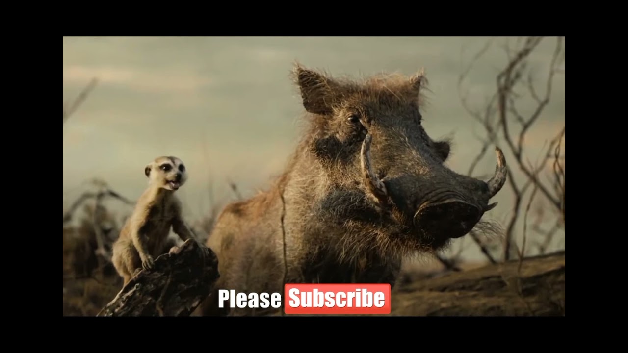 Shimbha the lion movie - YouTube