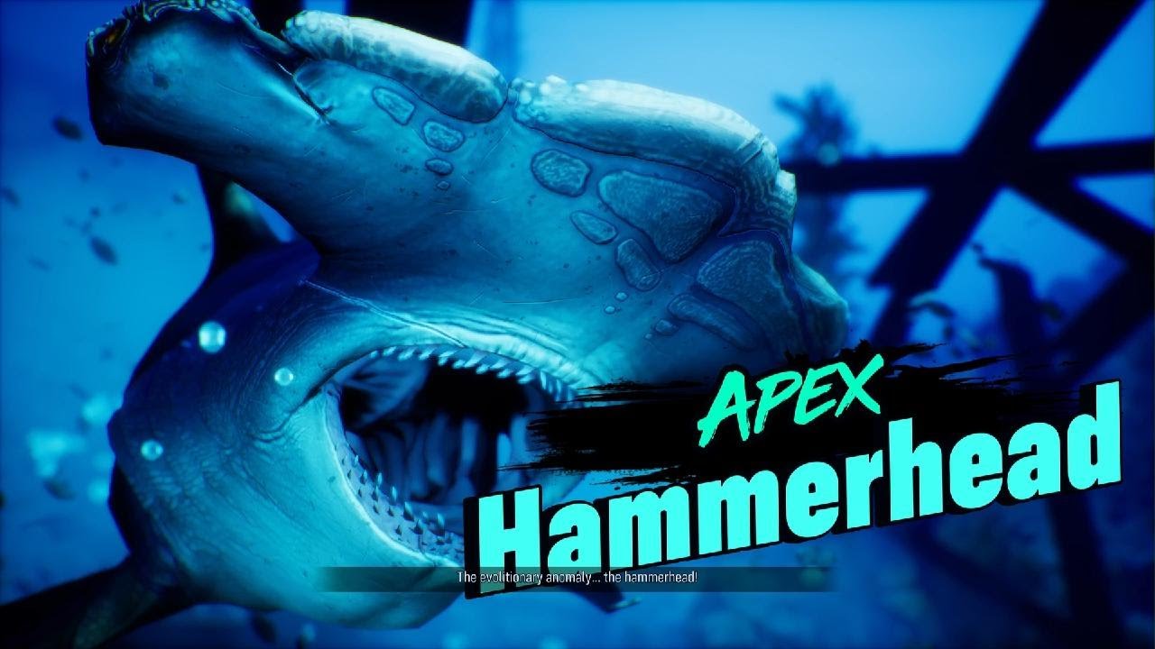 Maneater Boss Battle: APEX Hammerhead | PS5 - YouTube