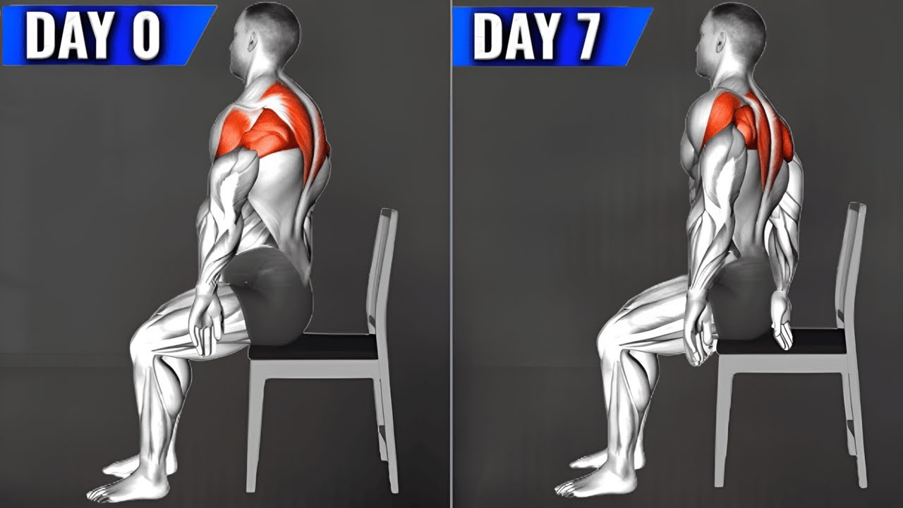 5 Chair Exercises For The Back Posture Correction - YouTube