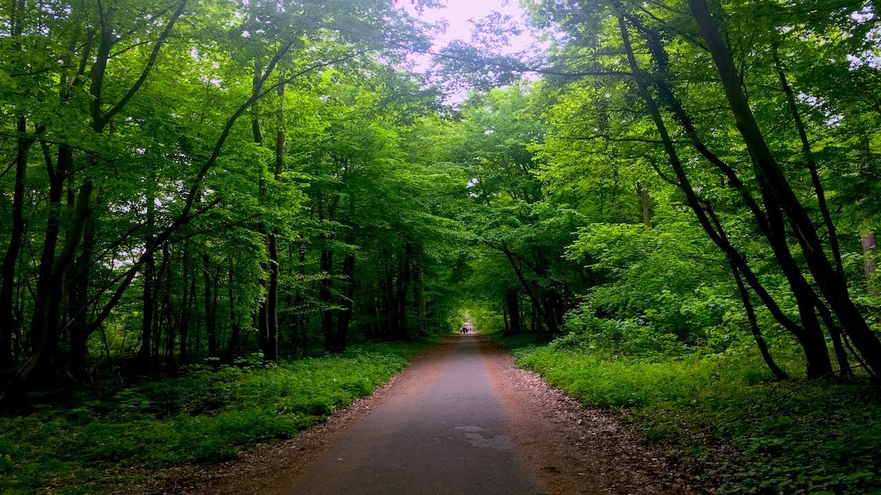 DJ Galactic - Elysium Rave - YouTube