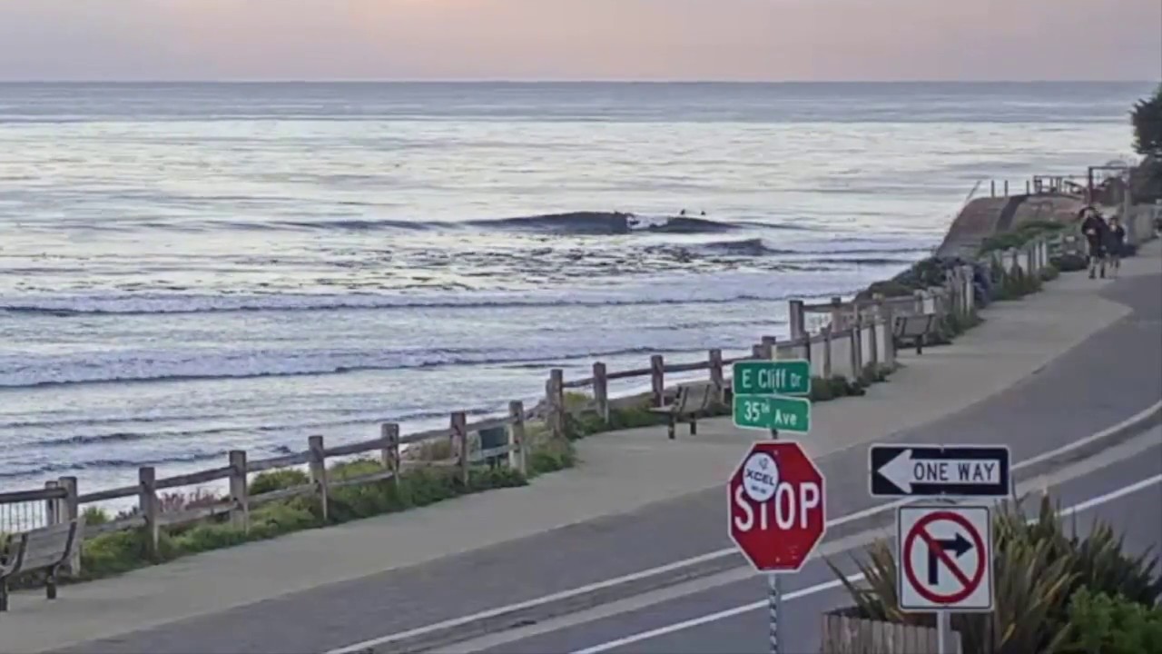 360 the ultimate mat surfing experience - YouTube