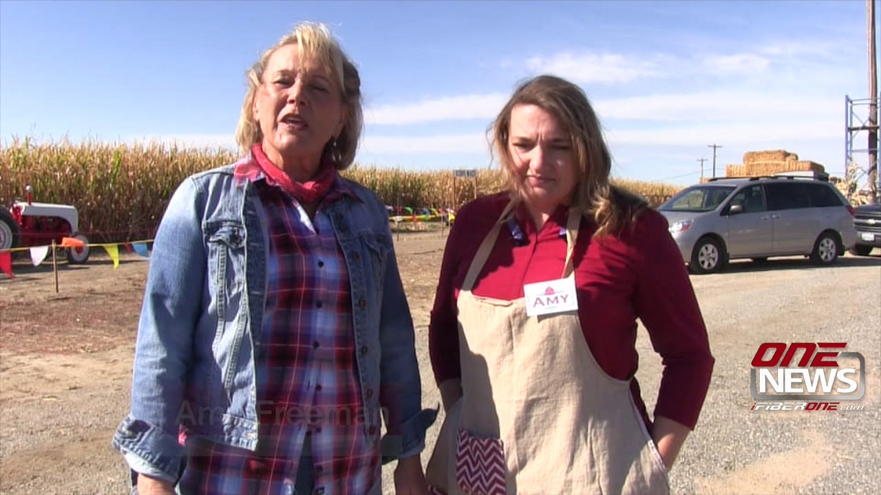 Country Cousins Farm begin their Fall Festival - YouTube