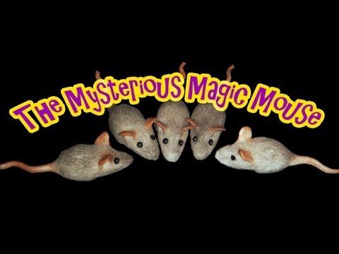 The Mysterious Magic Mouse - YouTube