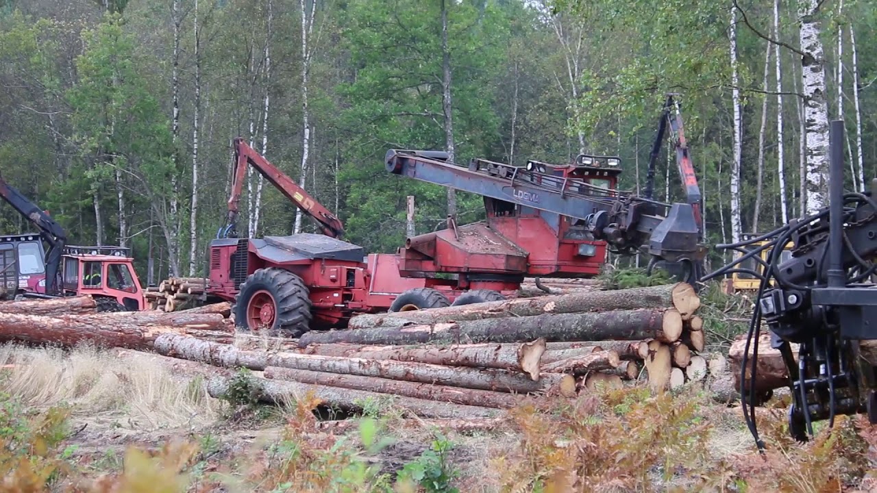 Gamla skogsmaskiner,Old loggingequipment. - YouTube