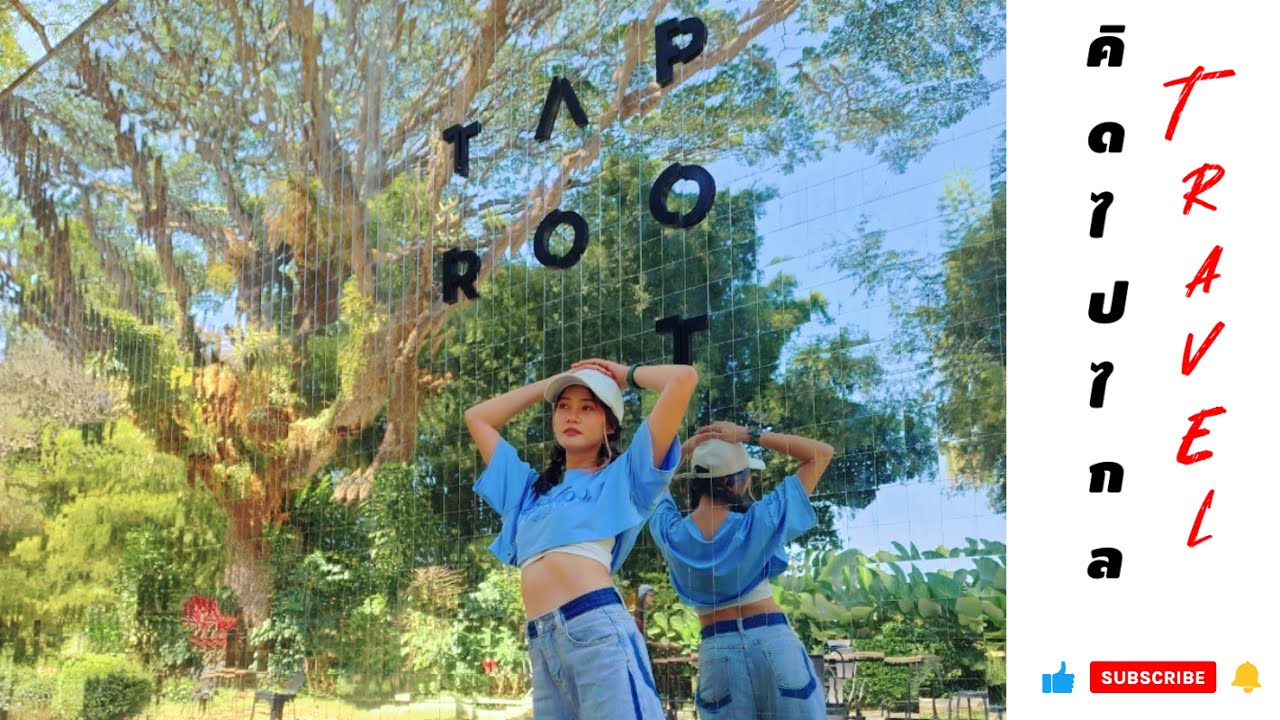 Taproot Cafe @เขาค้อ คิดไปไกลtravel พาไปเที่ยวกันนน‼️ - YouTube