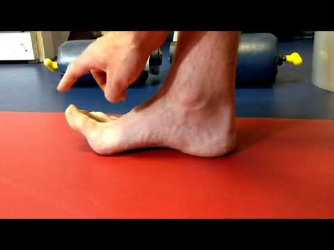 Seated Toe Extension (Forced Eccentric) - YouTube