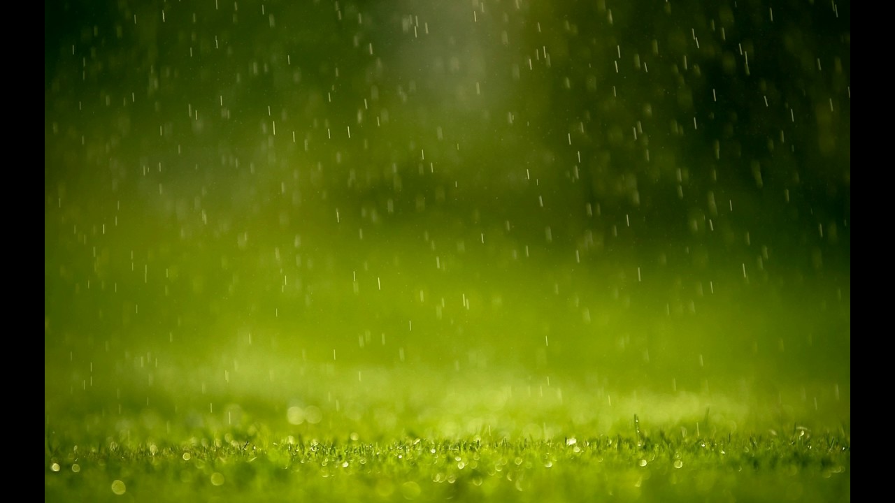 The Sound Of Rain Falling - Sound Effect - 2017 - YouTube