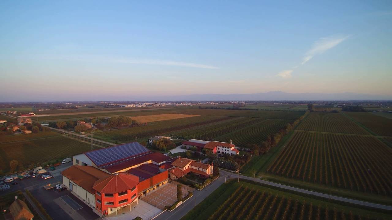 Spot Drone Corvezzo Winery - 100% Organic Prosecco Vineyard - YouTube