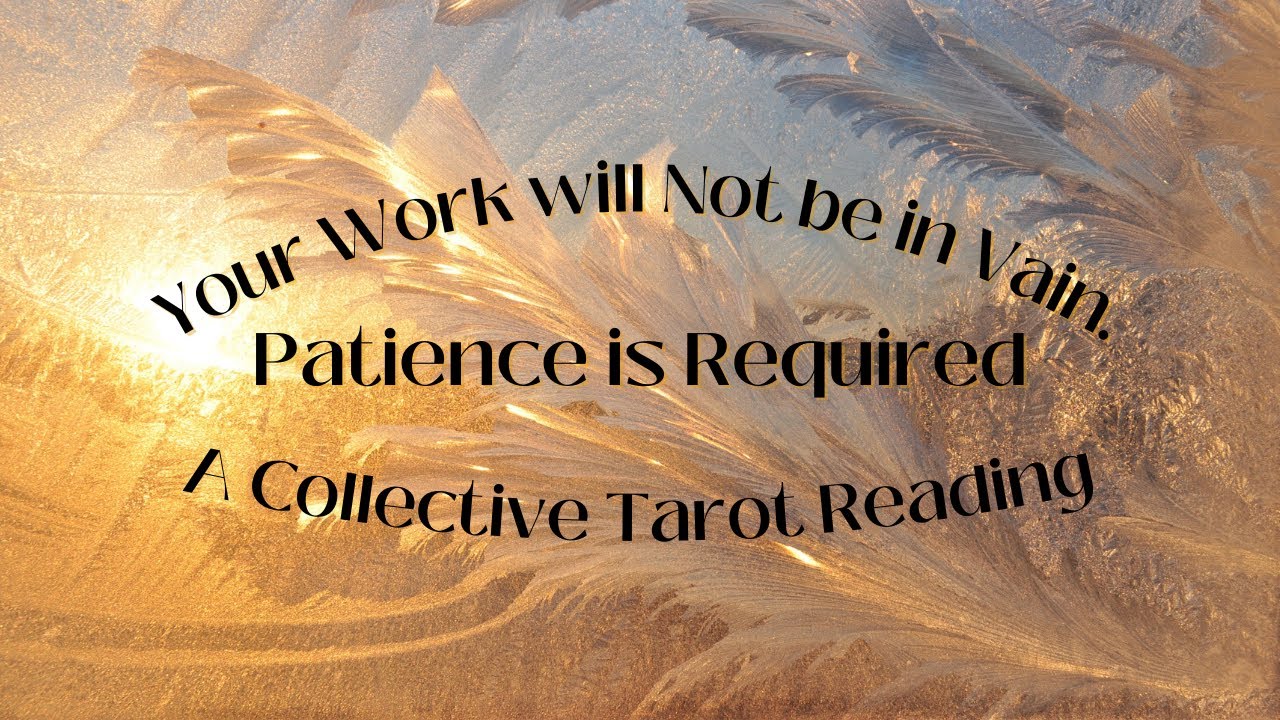 Patience is Required. Your work will Not be in Vain. | Collective Tarot ...