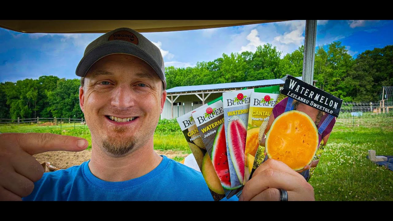 Melon Time! Planting Melons, Winter Squash, and Fig Trees - YouTube