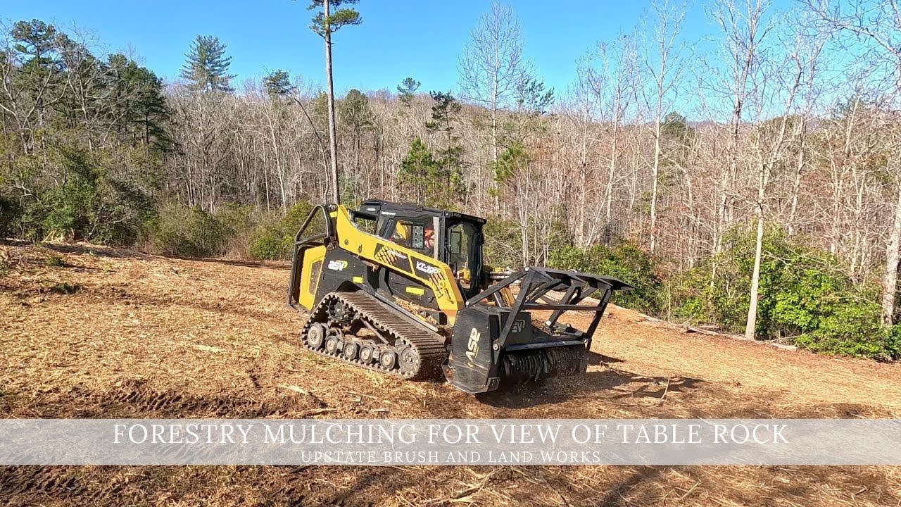 Forestry Mulching for views of Table Rock - YouTube
