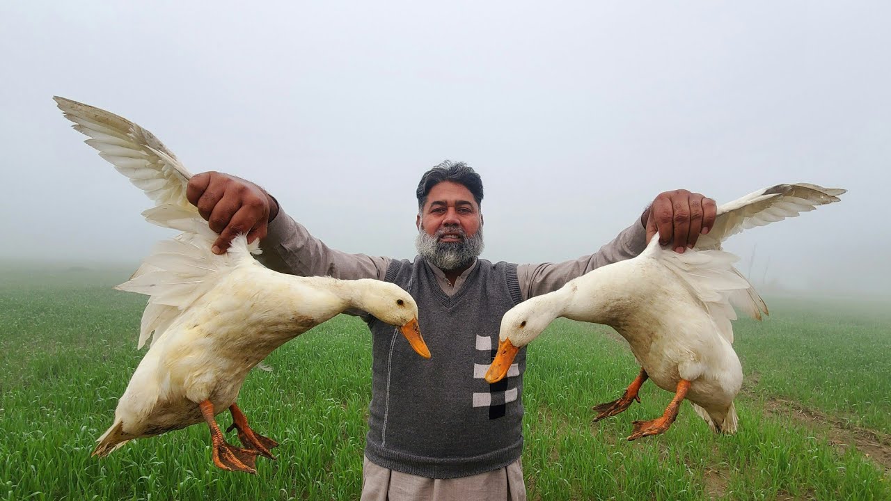 Duck Karahi Recipe | Duck Recipe Easy And Delicious | Kadai Recipe ...