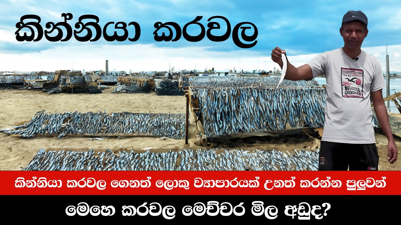 kinniya karawala - Srilanka කින්නියා කරවල - YouTube