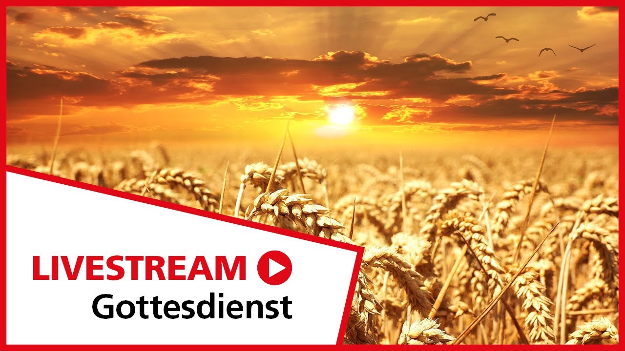 08.11.2020 | Livestream Gottesdienst FEG Murten | David - König des ...