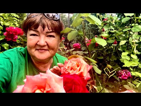 Друзья, ПРИЕЗЖАЙТЕ в Тайган, если вы в Крыму❤️