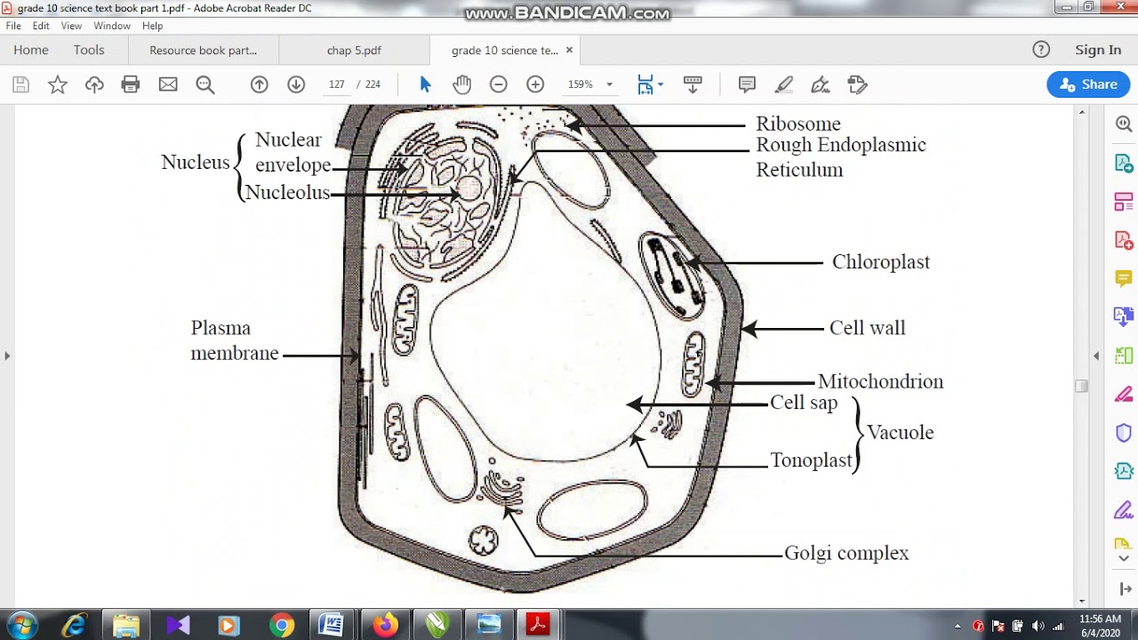 grade 10 unit 6 part 4 - YouTube