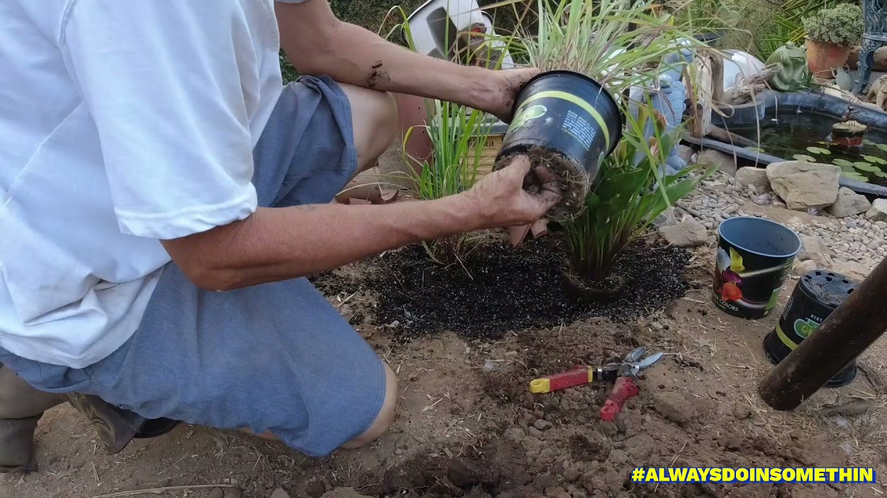 Making Gopher Cages For New Plants - YouTube