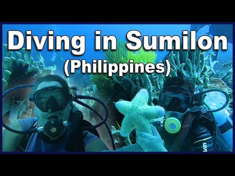 Diving in Sumilon (Philippines) - YouTube