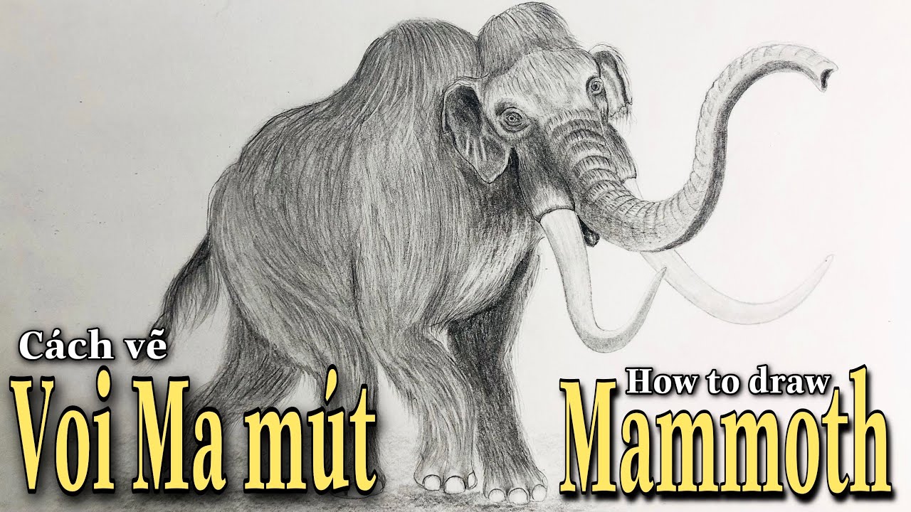 Cách vẽ voi ma mút đơn giản | How to draw mammoth easy - YouTube