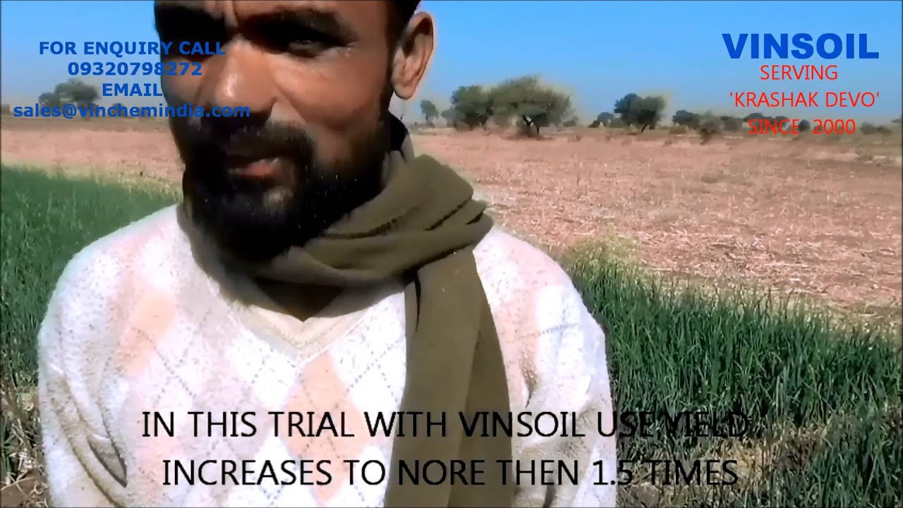 VINSOIL FEEDBACK ONION - YouTube