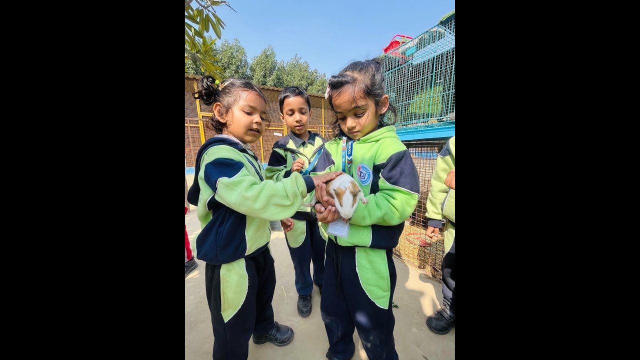 Trip to Zootopia - The Fun Yard (Nursery to II) - YouTube