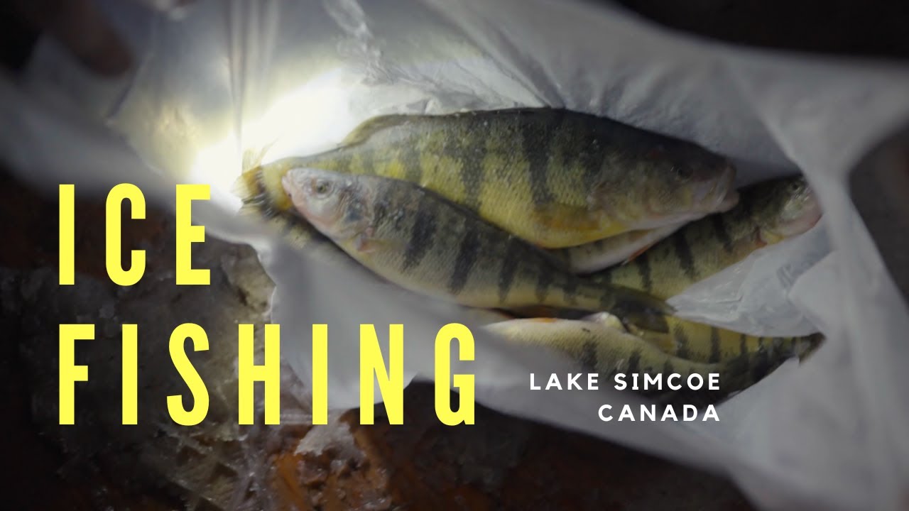 Ice Fishing on Lake Simcoe - YouTube