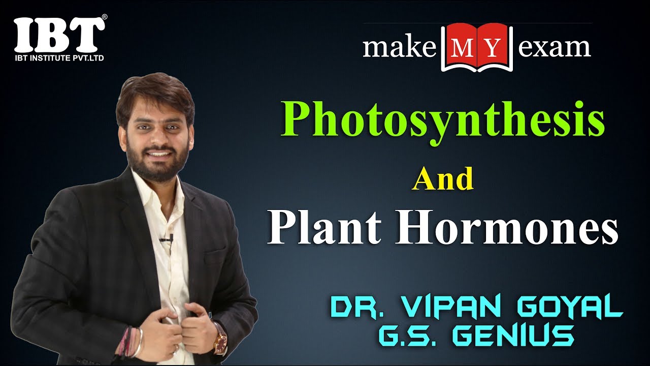 Photosynthesis and Plants Hormones By Dr Vipan Goyal - YouTube