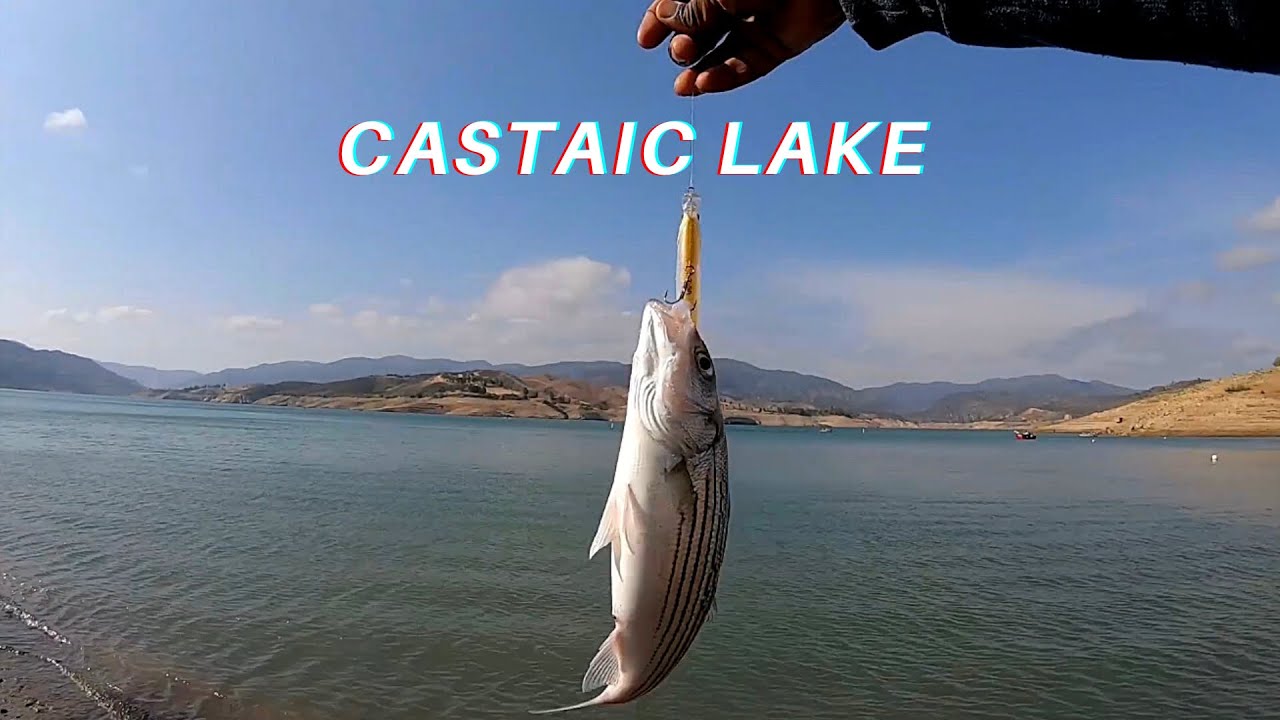 Castaic Lake Shore Fishing - YouTube