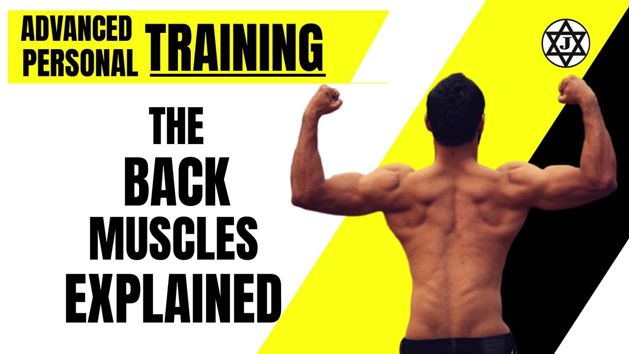 Back Muscles Group (Advanced Personal Training Course) - YouTube