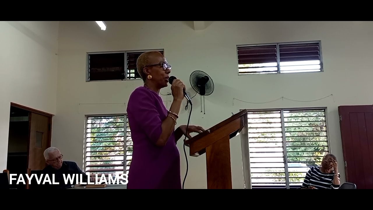 A Forum on Funding for Quality Education in Jamaica - Honourable Fayval ...