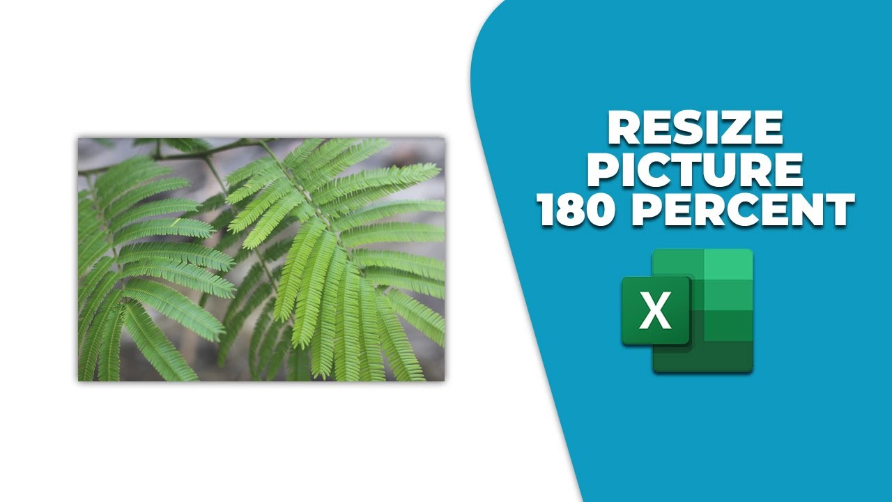 How to resize a picture to 180 percent in Excel - YouTube
