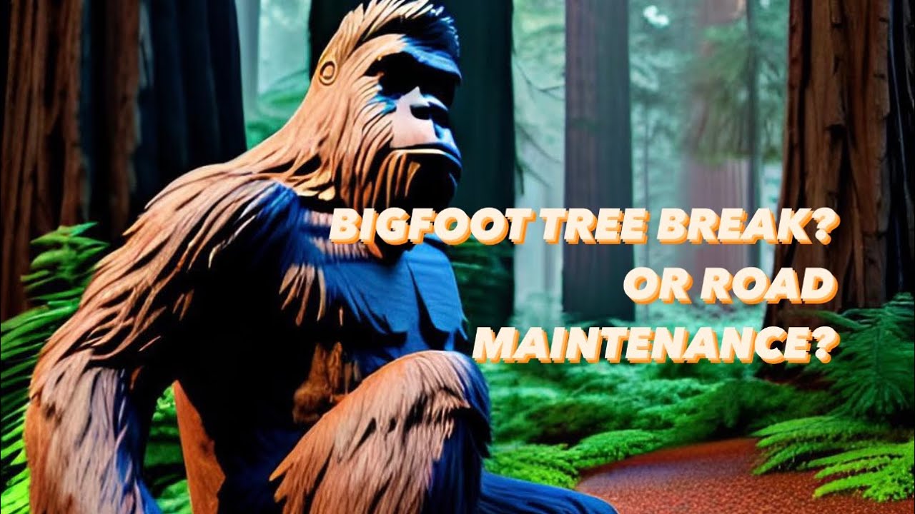 Bigfoot Tree Break? Or Road Maintenance? - YouTube